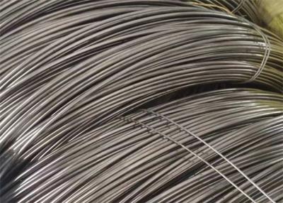 China Electrode 5.5 Mm Wire Rod 304L 316 310 Stainless Steel Wire Rod for sale