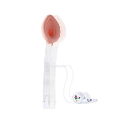 China Disposable Silicone LMA Laryngeal Mask Airway Class II for Neonate with 3-Year Shelf Life and 8 Size Options for sale