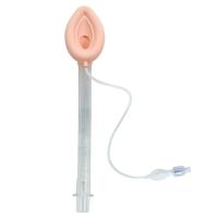 China Medical Silicone Soft Laryngeal Mask Airway CE ISO Approved Class II LMA-03 for sale