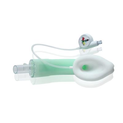China ISO13485 Dual Lumen Suction Laryngeal Mask Airway Tube with 3-Year Shelf Life in 8 Sizes (1.0#-6.0#) for sale