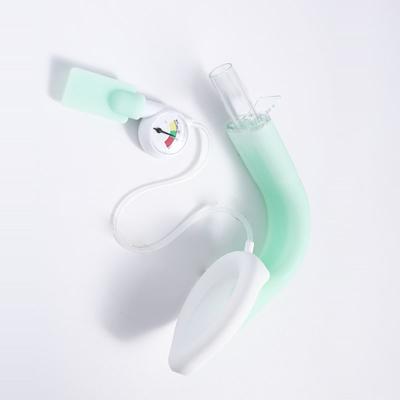 China Disposable Dual Lumen Laryngeal Mask Airway Medical Grade Silicone Various Sizes CE ISO for sale