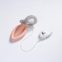 China Medical Silicone Reinforced Laryngeal Mask Airway 3 Year Shelf Life Kink Proof Flexible Shaft for sale