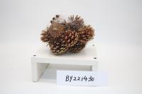 China Customized Christmas Acorn Pendant Festival Decoration 10cm Wood Ornament for sale