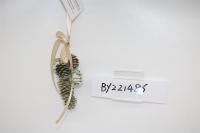 China Customized Christmas Acorn Pendant Decoration for Festival Party Hanging Ornament 5cm for sale