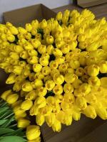 China Wholesale PU Real Touch Artificial Tulip Rose Flowers for Wedding Decoration 30cm for sale