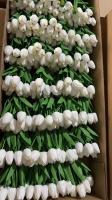 China Wholesale PU Real Touch Artificial Tulip Rose Flowers for Wedding Decoration 30cm for sale