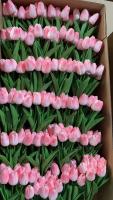 China Wholesale PU Real Touch Artificial Tulip Rose Flowers for Wedding Decoration 30cm for sale