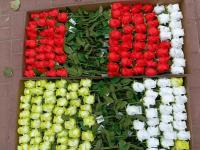 China Wholesale PU Real Touch Artificial Tulip Rose Flowers for Wedding Decoration 30cm for sale