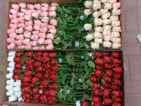 China Wholesale PU Real Touch Artificial Tulip Rose Flowers for Wedding Decoration 30cm for sale