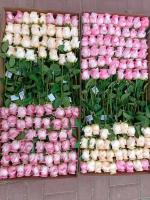 China Wholesale PU Real Touch Artificial Tulip Rose Flowers for Wedding Decoration 30cm for sale