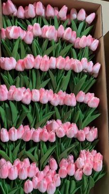 China Artificial Tulip Rose Flowers PU Real Touch Wedding Decorative 30cm for sale
