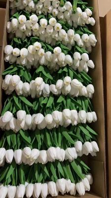 China Artificial Tulip Rose Flowers PU Real Touch Wedding Decorative 30cm 5 Heads for sale