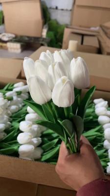 China Wholesale PU Real Touch Artificial Tulip Rose Flowers for Wedding Decoration 30cm for sale