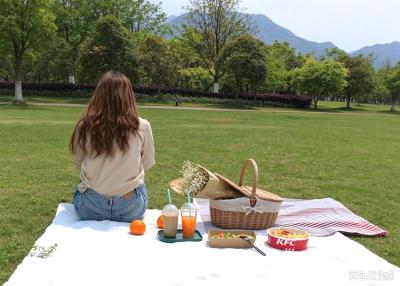 China Handmade Natural Willow Wicker Picnic Basket 40L Outdoor Lunch Bag for 4 People for sale