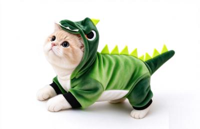 China Fashion Pet dog Clothes indoor outdoor cat garments Christmas festival gifts for sale