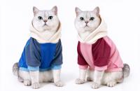 China Fashion Pet dog Clothes indoor outdoor cat garments Christmas festival gifts for sale