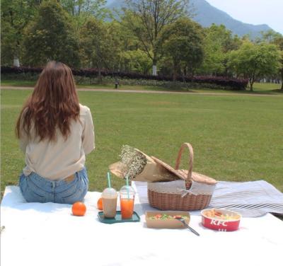 China Handmade Natural Willow Wicker Picnic Basket 40L Outdoor Lunch Bag for 4 People for sale