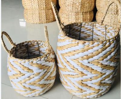 China Eco Friendly Seagrass Basket Storage Organizer 30x20cm Handwoven Natural Straw Fruit Basket for sale