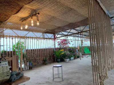 China Natural Carbonized Reed Fence Panel 180x180 cm Eco Friendly Outdoor Garden Privacy Screen for sale