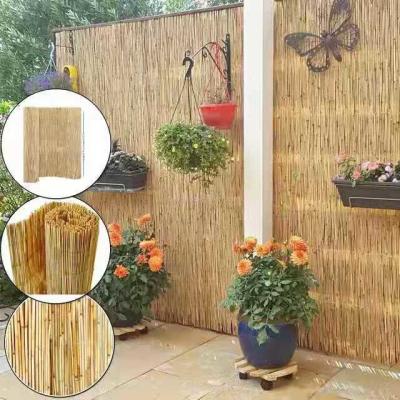China Carbonized Natural Reed Fence Panel Eco Friendly Outdoor Garden Privacy Screening 180x180cm for sale
