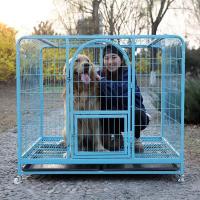 China Q195 Q235 Livestock Fence Panels Powder Coated 36x24 Dog Crate for sale