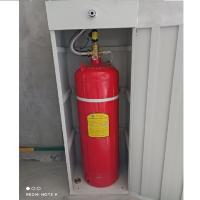 China 100L single cabinet FM200 computer room database gas fire extinguisher for sale