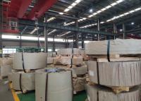 China S550GD EGI Steel Coil 0.90mm Thickness 1250mm Width with 100g/m² Zinc Coating for sale