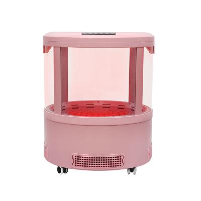 China Adjustable Temperature PET Drying Room Grooming With 2 Blowers for sale