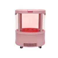 China Hands Free PET Drying Room Box 220V For Small To Medium Size Pets for sale
