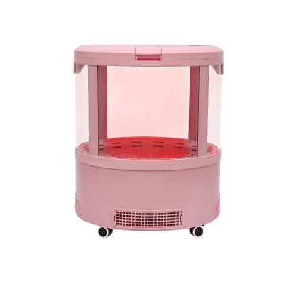 China Hands Free PET Drying Room Box 220V For Small To Medium Size Pets for sale