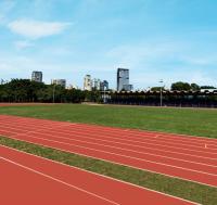 China World Athletics (wa) Certified Full Pur Running Track, Manufactured By Guangzhou, China-based Producer for sale