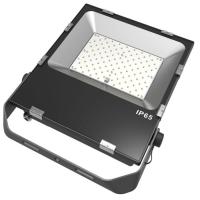 China 100W 200W 6500K Cold White IP65 Waterproof	LED Flood Light For Garden for sale