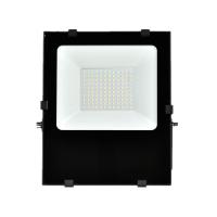 China AC220V outdoor LED Flood Light 100W high bright IP66 6000K for sale