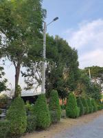 China Ip65 Ip67 Commercial Adjustable 100w 150w Outdoor Aluminium Smd High Lumen Led Street Light Lamp Luminaires for sale
