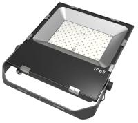 China 100 Watt 200W Aluminum 110v 220v Black Slim LED Landscape Outdoor Flood Standing Light for sale