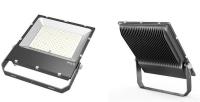China 100 Watt 200W Aluminum 110v 220v Black Slim LED Landscape Outdoor Flood Standing Light for sale