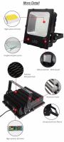 China 100 Watt 200W Aluminum 110v 220v Black Slim LED Landscape Outdoor Flood Standing Light for sale
