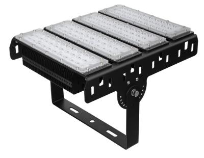 China LED Light Source Waterproof Floodlight Outdoor with 50000 Working Time for sale
