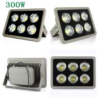 China High Lumen COB 300 Watt Led Outdoor Flood Light for sale