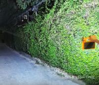 China Outdoor Portable Led Solar Emergency Camping Light 3.7v 5000mA ABS Material for sale