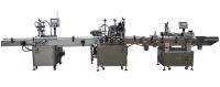 China SS316 1L To 5L Automatic Filling And Capping Machine Shampoo Lotion Detergent for sale