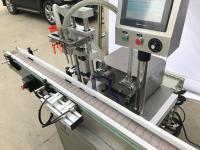 China SS316 1L To 5L Automatic Filling And Capping Machine Shampoo Lotion Detergent for sale