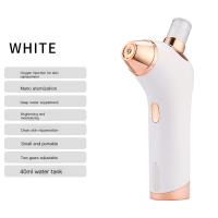 China Airbrush Skin Care Beauty Equipment 19.5cm 10ml Nano Water Supplement Instrument for sale
