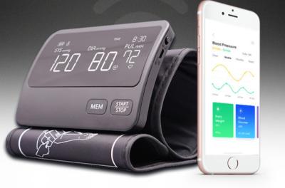 China IP21 Home Medical Blood Pressure Monitors For Large Arms 6VDC 0-300mmHg for sale