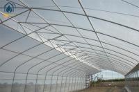 China Customizable Tunnel Multi Span Greenhouse 5m - 12m Width With Drip Irrigation System for sale