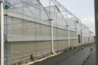 China Large Complete Waterproof Multi Span Greenhouse For Tomato Plant Growing for sale