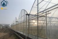 China Multi Span Agriculture Greenhouses Sustainable Crop Cultivation Greenhouse for sale
