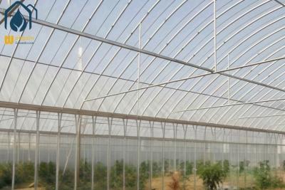China Agriculture Multi Span Poly Tunnel Greenhouse Environment Friendly For Vegetables for sale