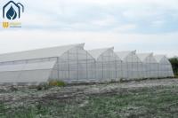 China Modern Agricultural Greenhouses Galvanized Steel Tropical Greenhouse for sale