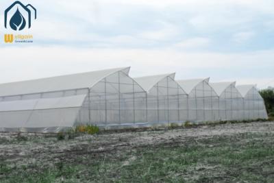 China Modern Agricultural Greenhouses Galvanized Steel Tropical Greenhouse for sale